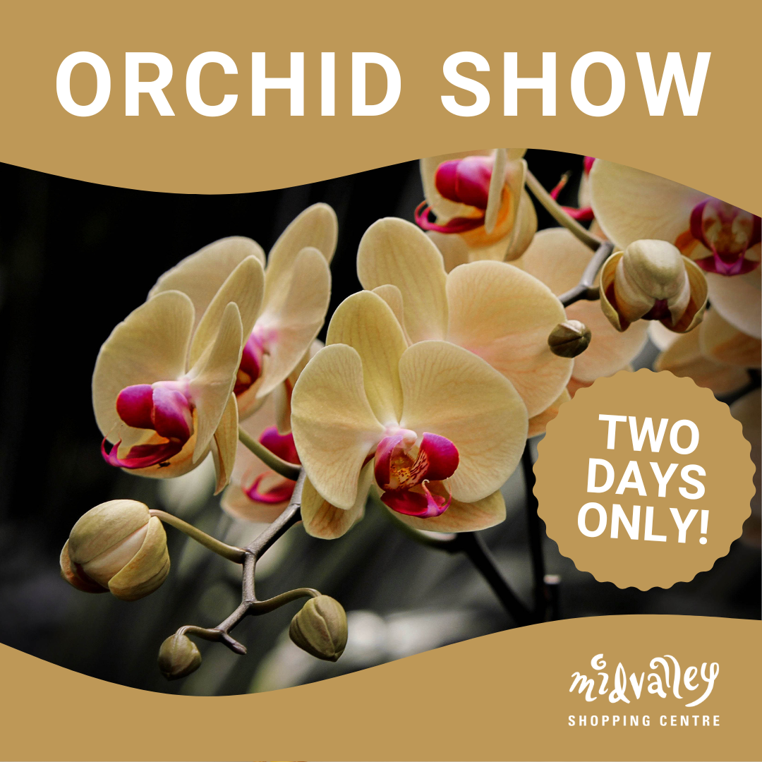 Big W - Mid Valley Shopping Centre